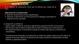 EXAMEN CLINICO.pptx