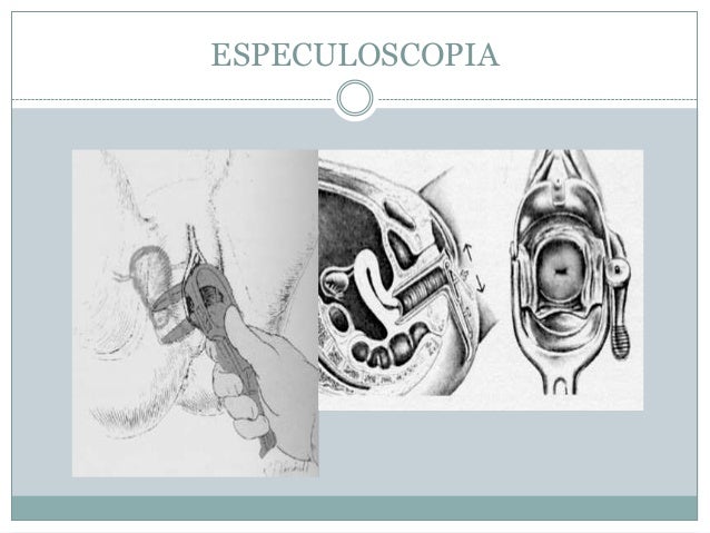 E x a m e n clinico obstetrico