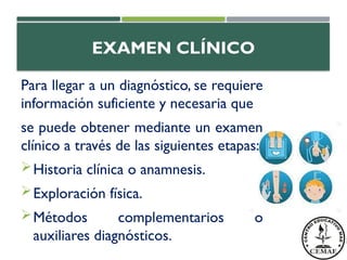 EXAMEN CLINICO DE ENFERMERIA PALPACIONN | PPTX