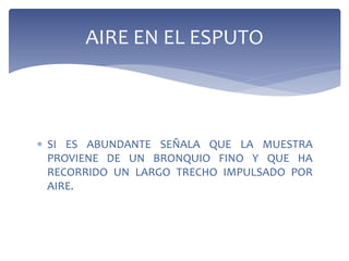 Examen de esputo i | PPTX