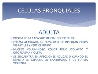 Examen de esputo i | PPTX