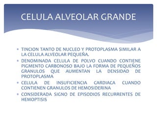 Examen de esputo i | PPTX