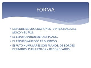 Examen de esputo i | PPTX