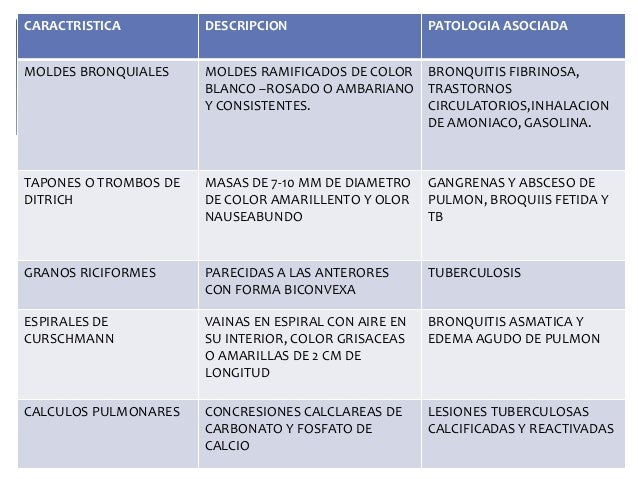 Examen de esputo i