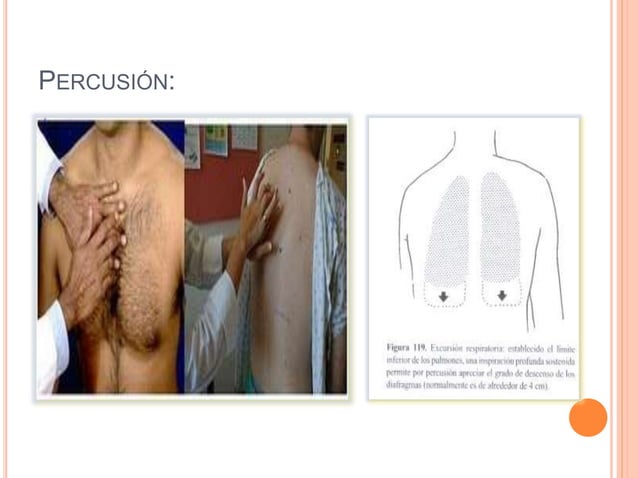 Examen de físico torax | PPTX