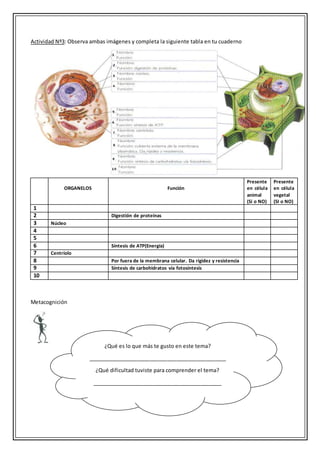 Examen de la celula | DOCX