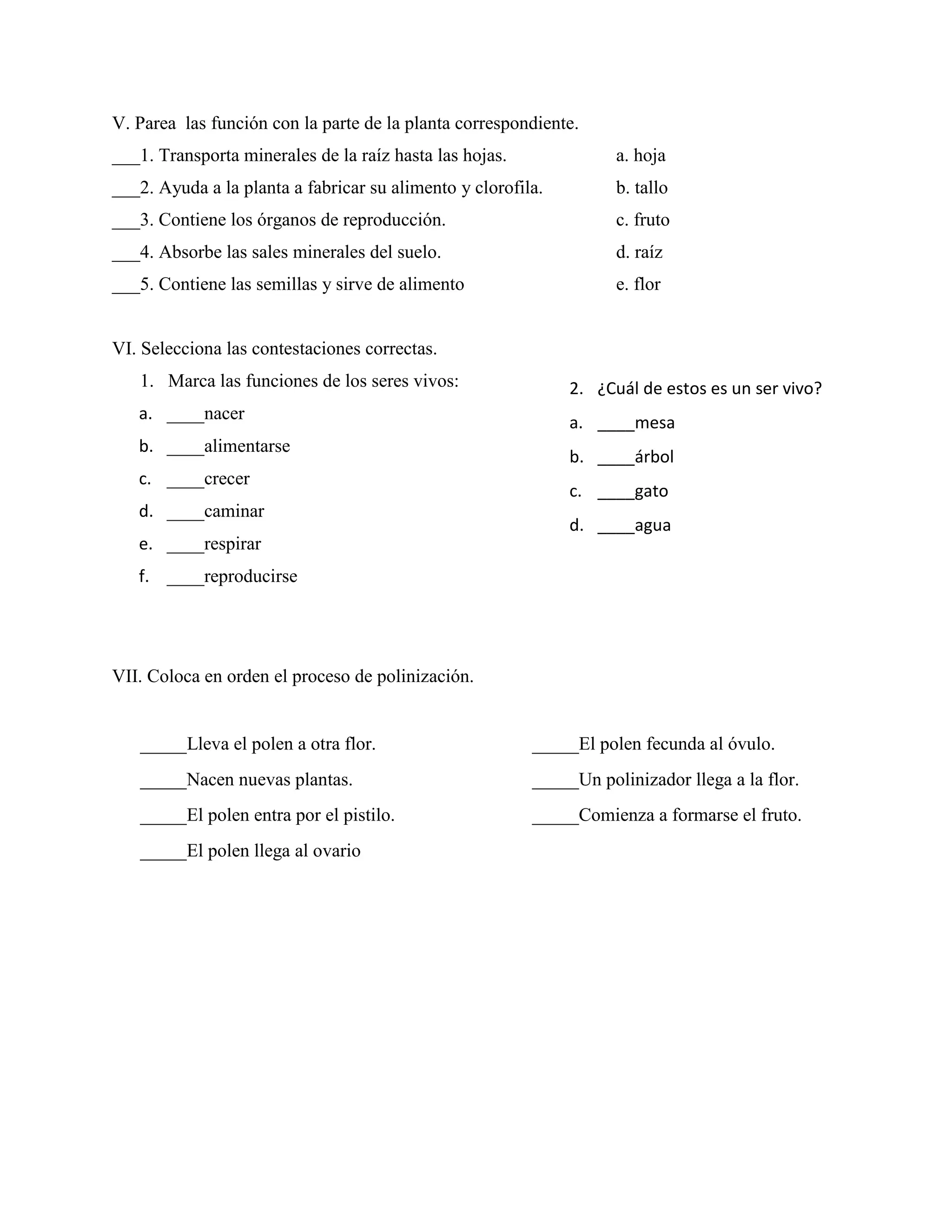 Examen de las plantas 1 | PDF