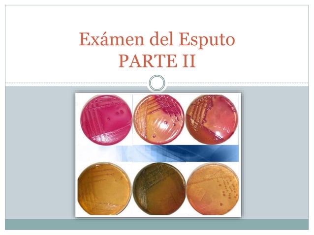 Examen del esputo parte ii | PPTX