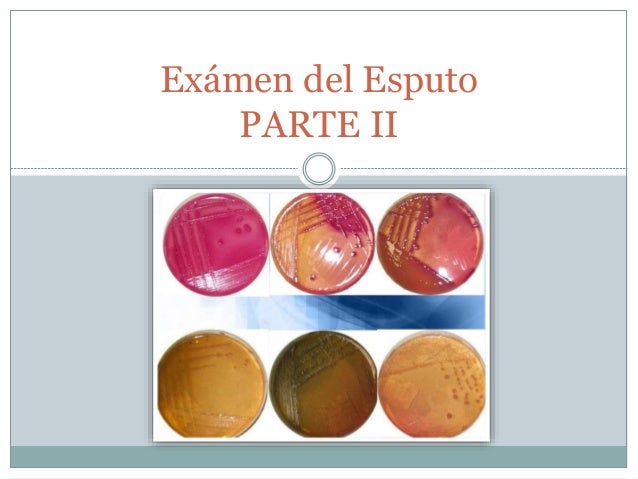 Examen del esputo parte ii