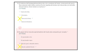 EXAMEN DE LOCOMOTOR CAPITULO11- ANATOMIA | PDF