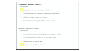 EXAMEN DE LOCOMOTOR CAPITULO11- ANATOMIA | PDF