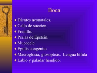Examen del recién nacido | PPT