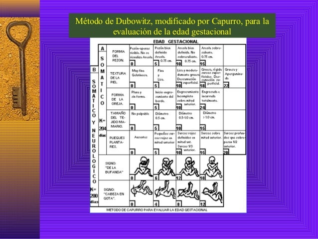 Examen del recién nacido