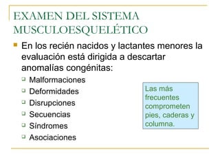Examen del sistema musculoesquelético | PPT