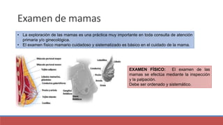 Examen de mamas.pptx