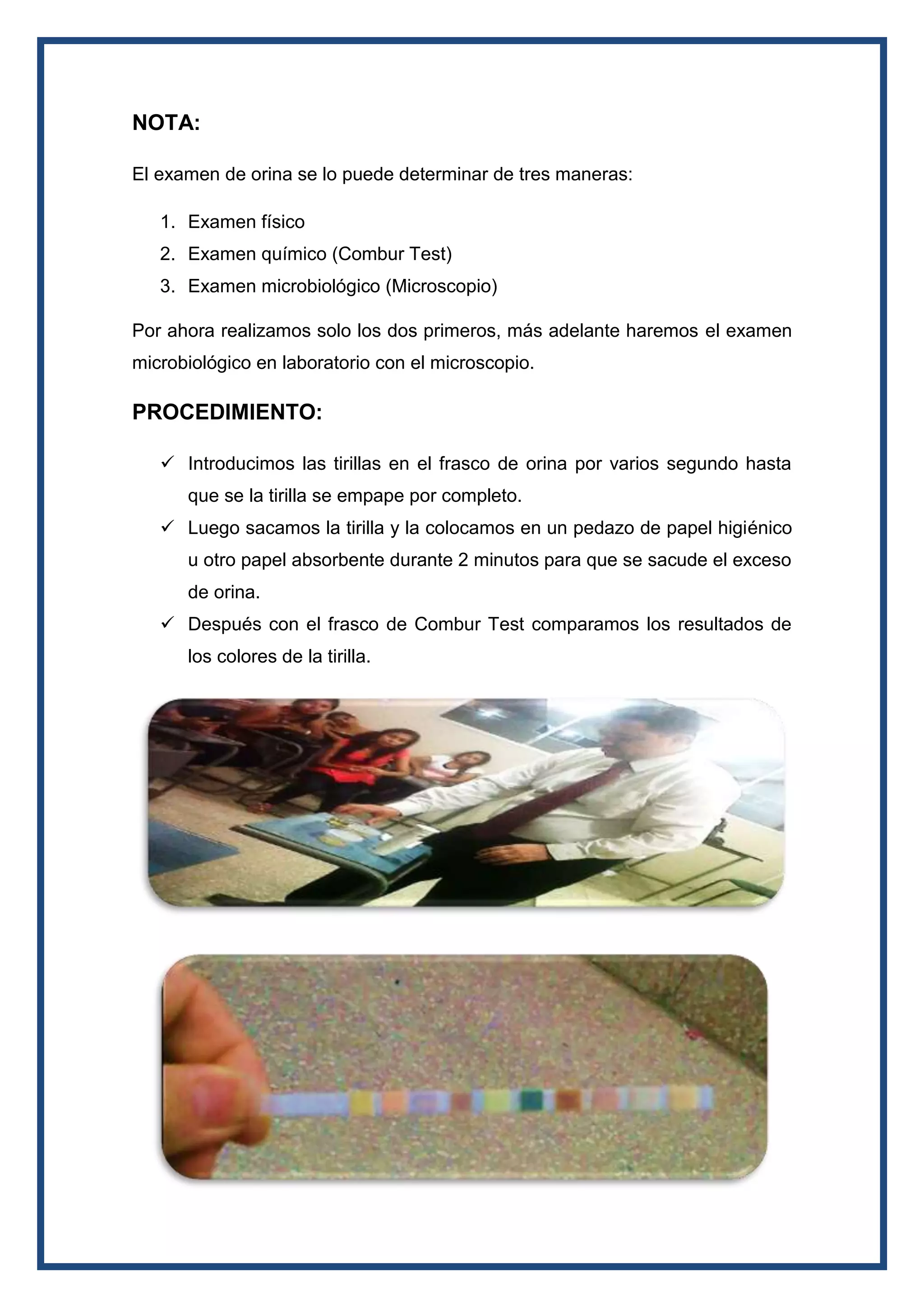Examen de orina | PDF