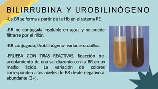 Examen de COMPLETO DE ORINA CONCEPTOS Y DEFINICION | PDF