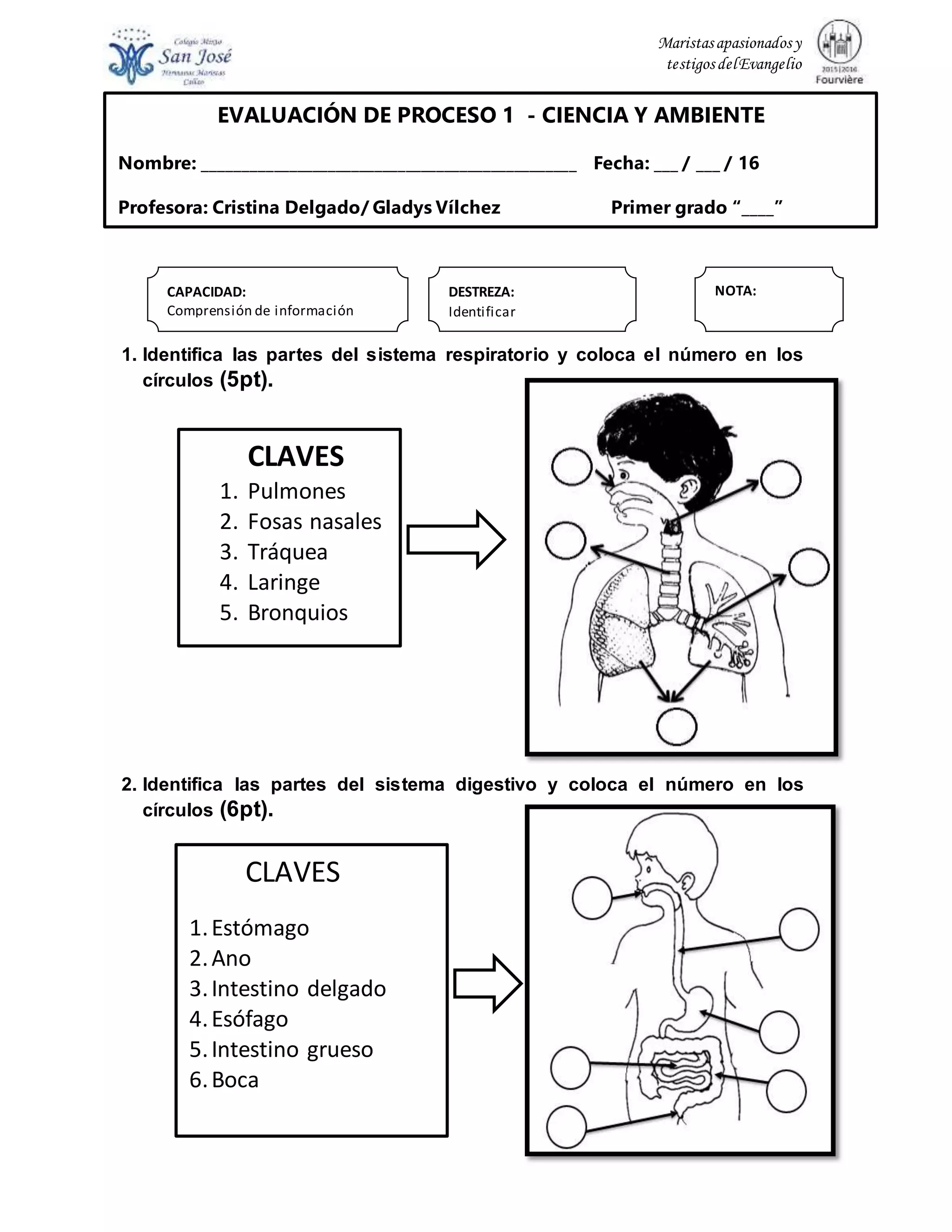 Examen de proceso 1 periodo 2 | DOCX