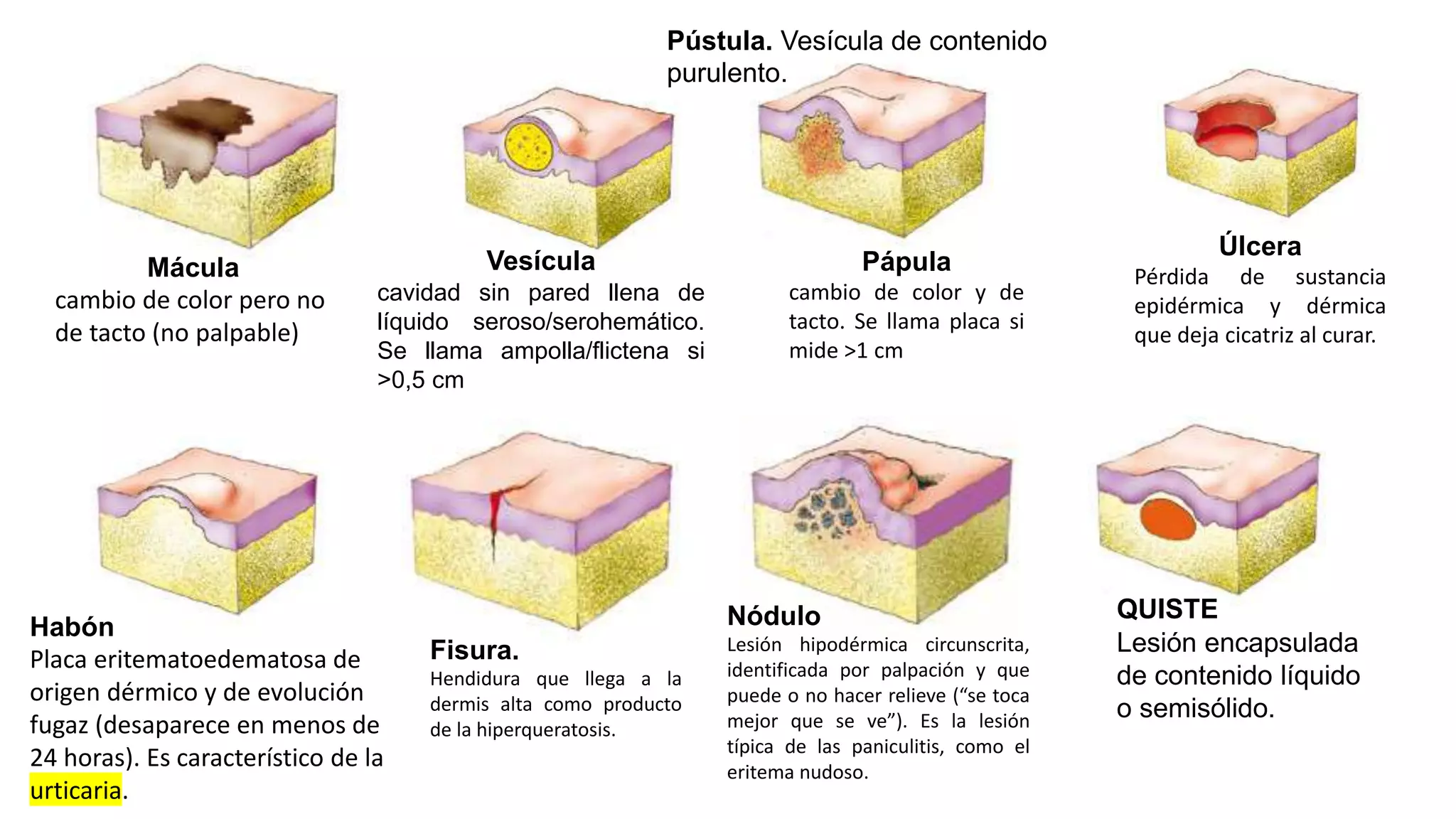 EXAMEN DERMATO MI1.pptx