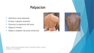 generalidades examen físico de torax.pptx