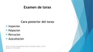 examen fisico de torax generalidades.pptx