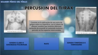 Examen de tórax | PPTX