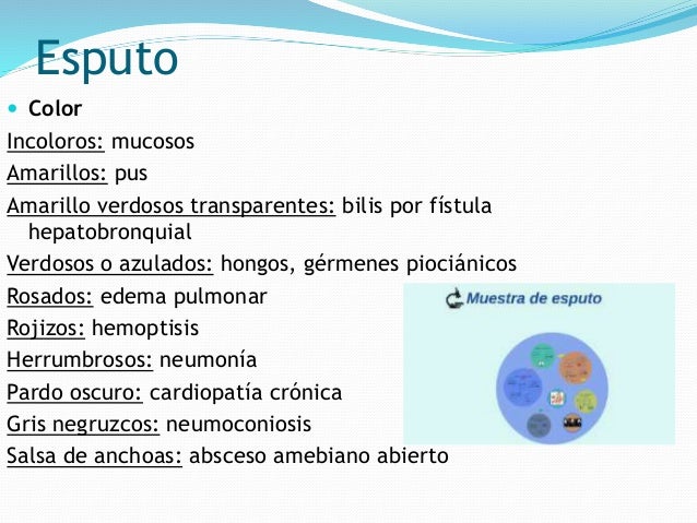 EXAMENES DE LABORATORIO EN NEUMOLOGIA