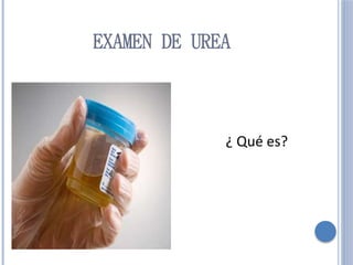 Examenes de rutina (perfil renal) | PPTX