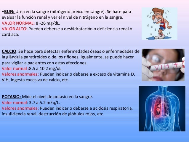 Que Significa Nitrogeno De Urea En Sangre - manualprobit