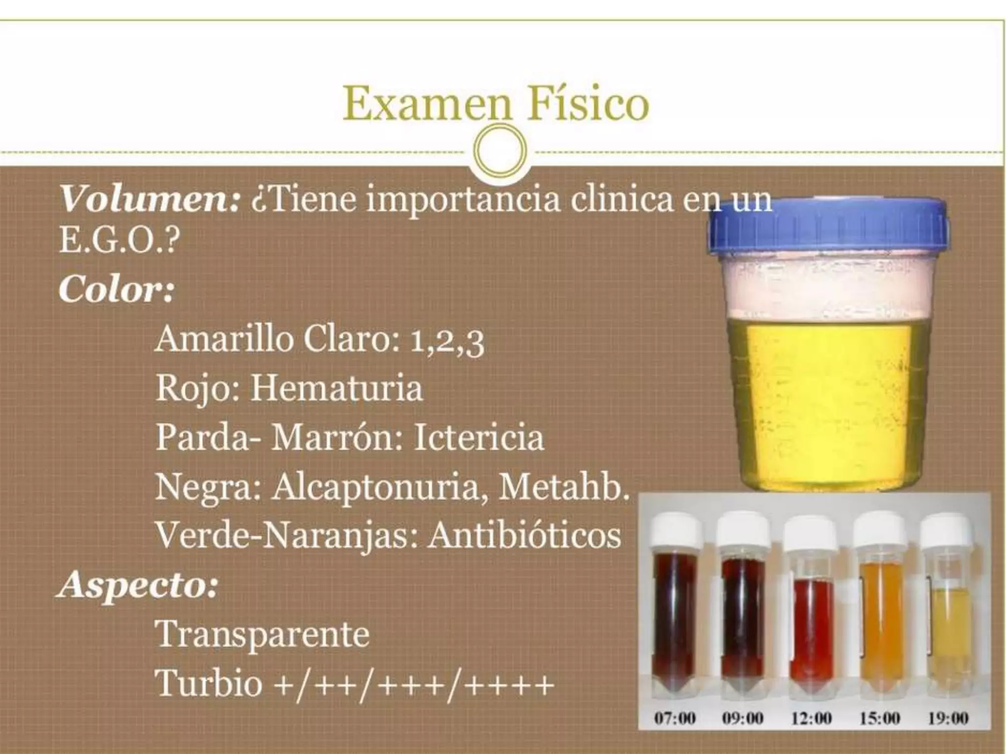 Examenes de laboratorio (BH, QS, TP, TPT, EGO) | PPTX