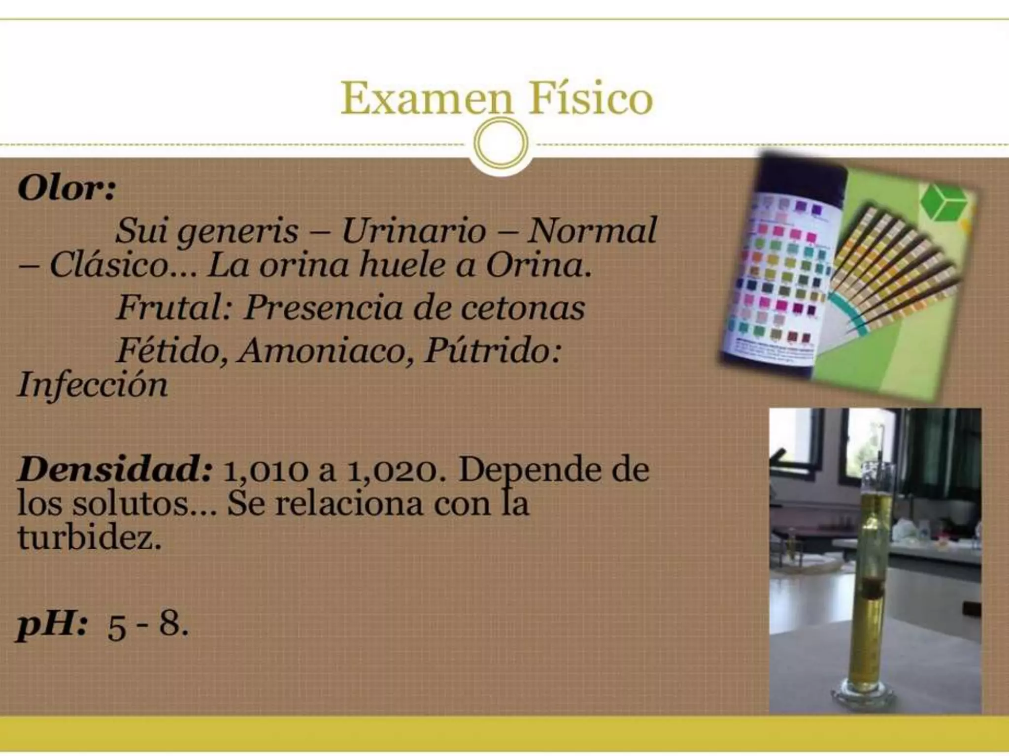 Examenes de laboratorio (BH, QS, TP, TPT, EGO) | PPTX
