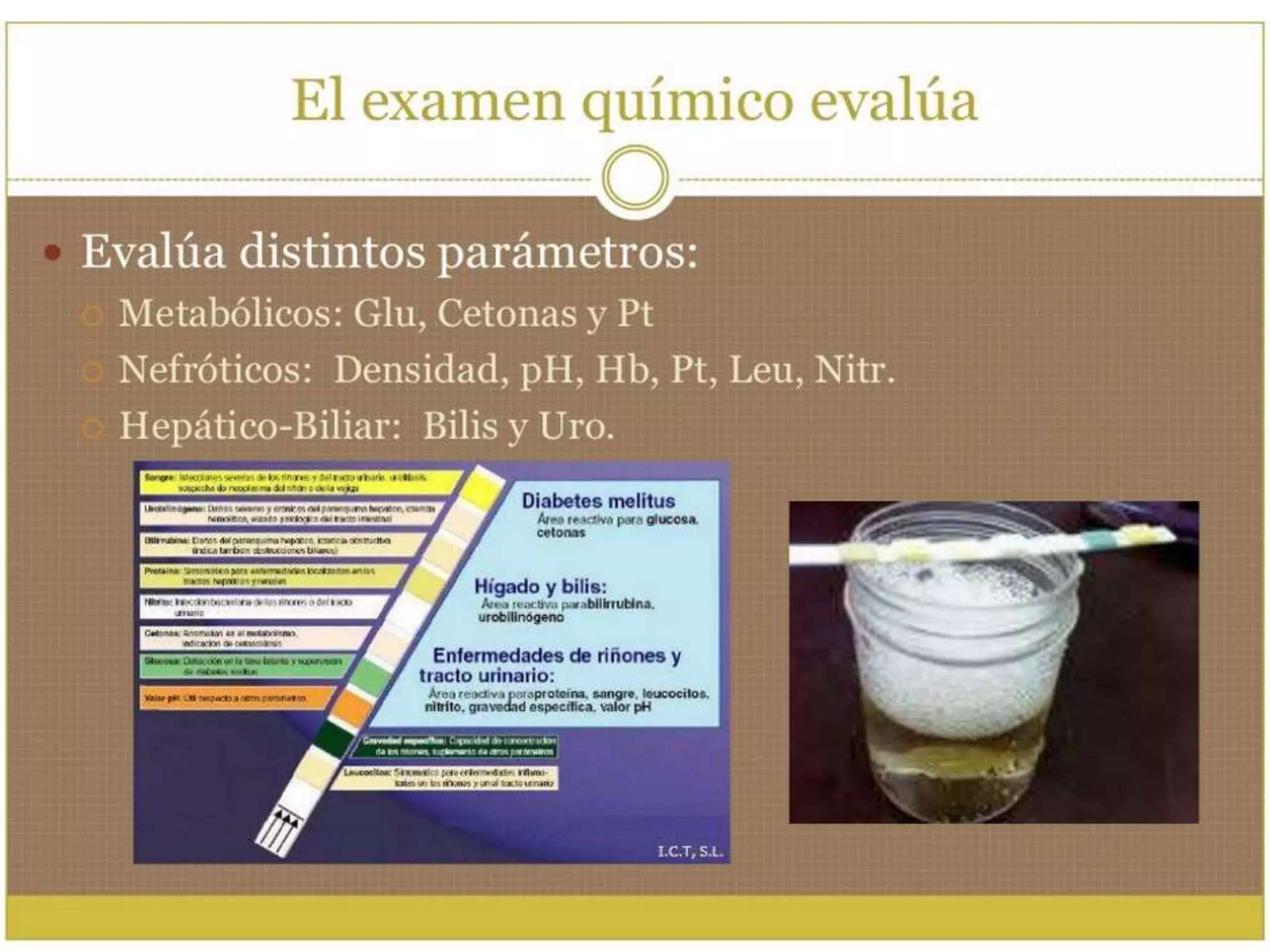Examenes de laboratorio (BH, QS, TP, TPT, EGO) | PPTX