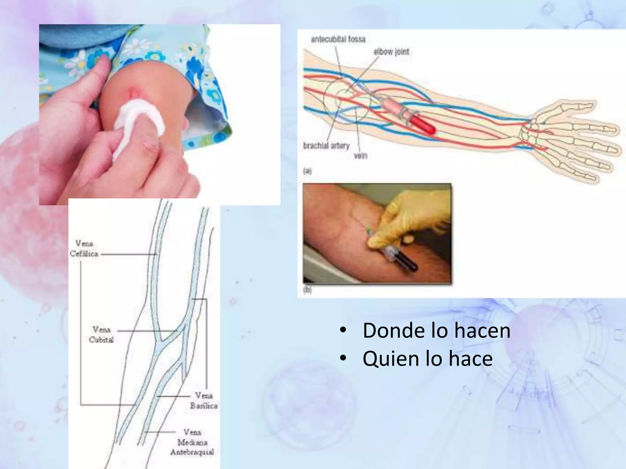 Examenes de laboratorio (BH, QS, TP, TPT, EGO) | PPTX