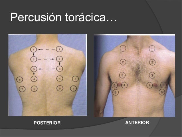 Examen físico Respiratorio