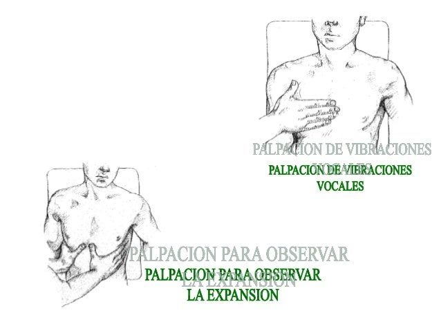 Examen Fisico