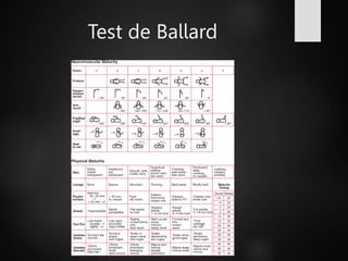 EXAMEN FISICO de recien nacido, y sus principales signos. | PPTX