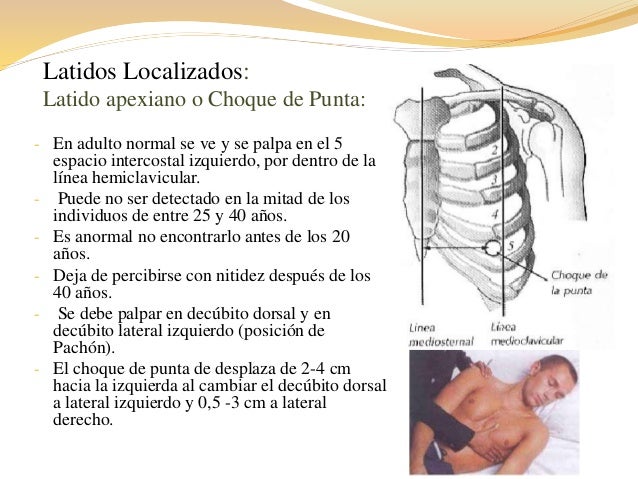 Examen fisico