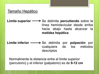 Examen Fisico de Abdomen.pptx