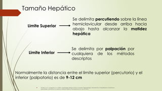 Examen Fisico de Abdomen Hospital (1).pptx