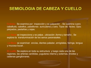 Examen Fisico Cabeza Y Cuello Ejemplo Hotsell | innoem.eng.psu.ac.th