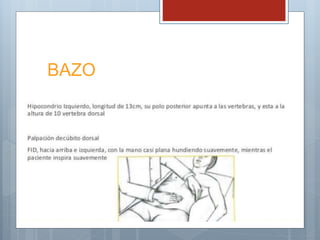 Examen fisico del abdomen | PPTX