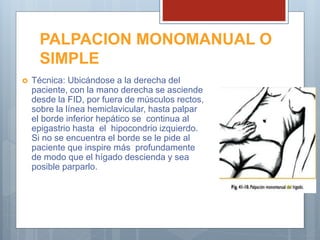 Examen fisico del abdomen | PPTX