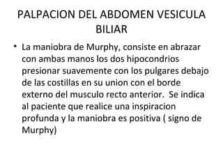 Mano De Signo De Murphy