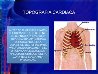 Examen fisico del corazon | PPTX