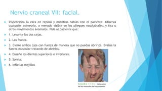 EXAMEN FISICO DE LOS PARES CRANEALES.pptx