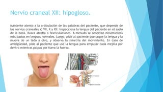 EXAMEN FISICO DE LOS PARES CRANEALES.pptx