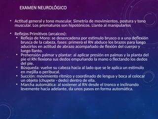 Examen fisico del recien nacido.ppt456789 | PPT