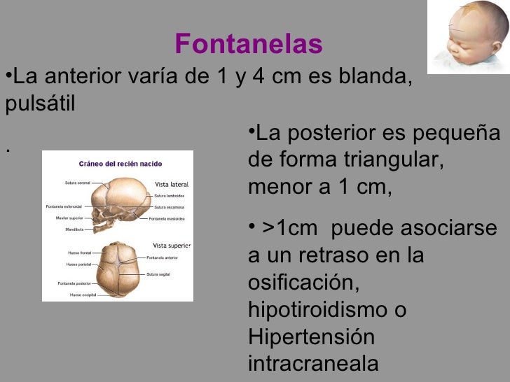 Examen fisico del recien nacido valdespino