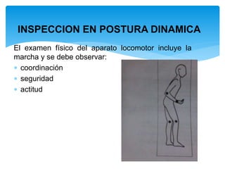 Examen físico del sistema musculo esquelético | PPTX