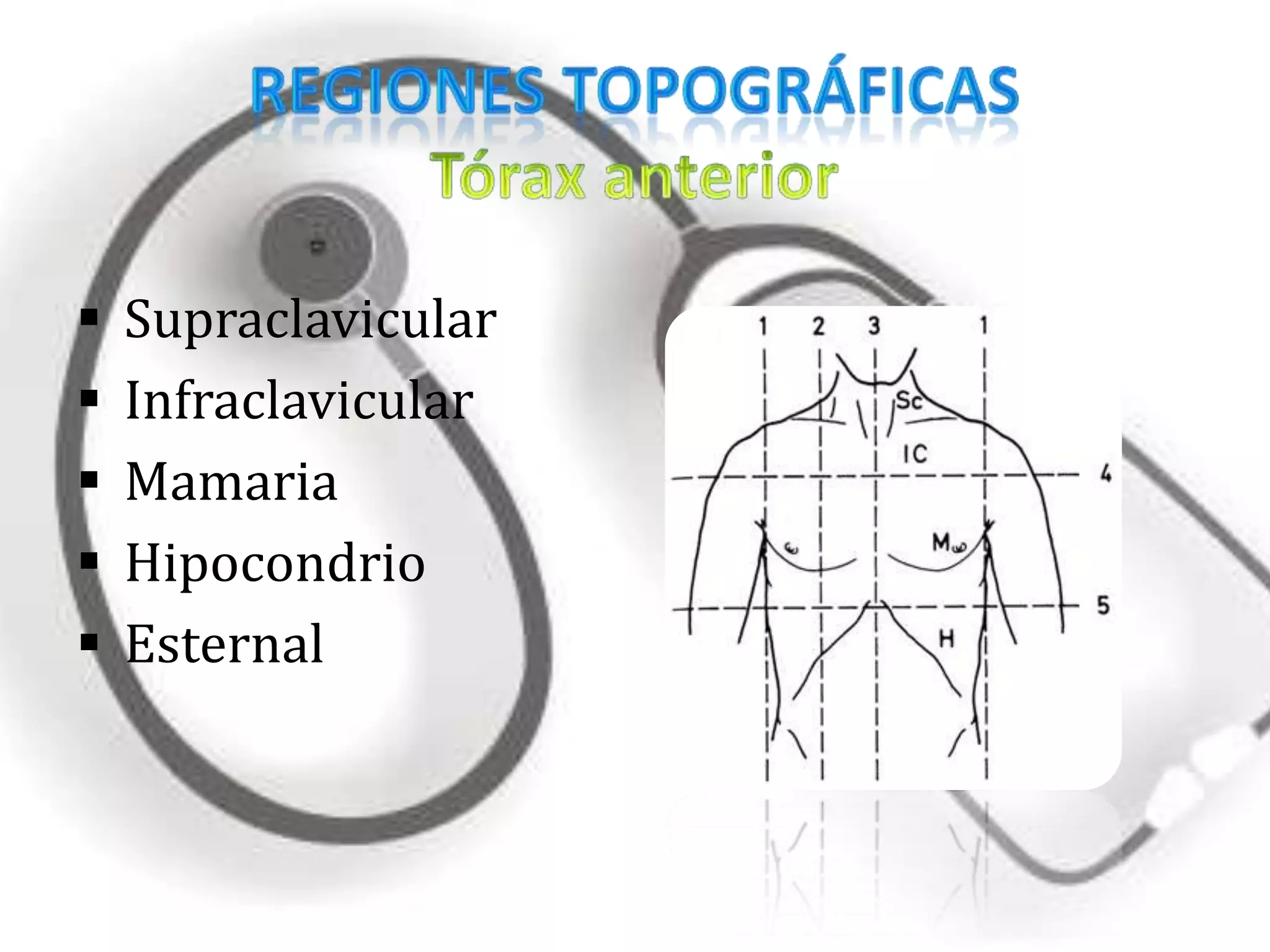 Examen fisico de torax | PPTX